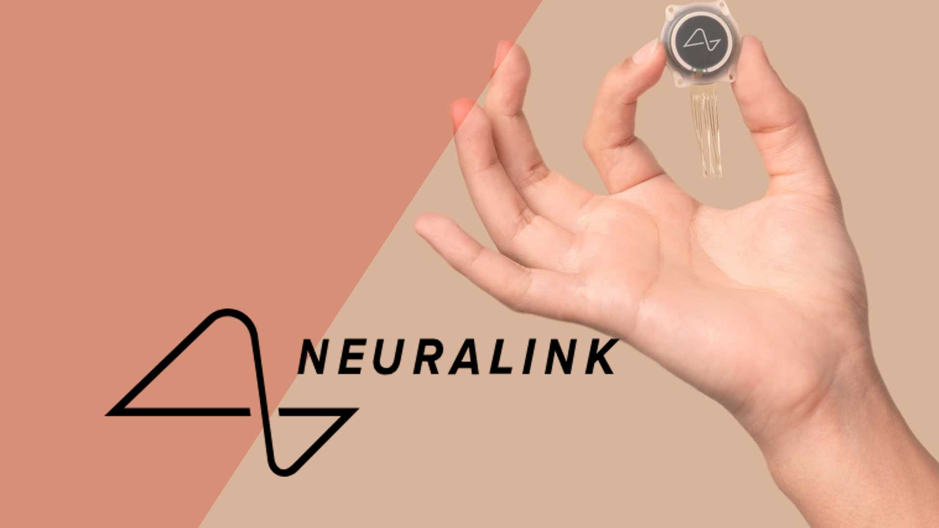Neuralink Blindsight: svolta per l'impianto che ridarà la vista ai ...