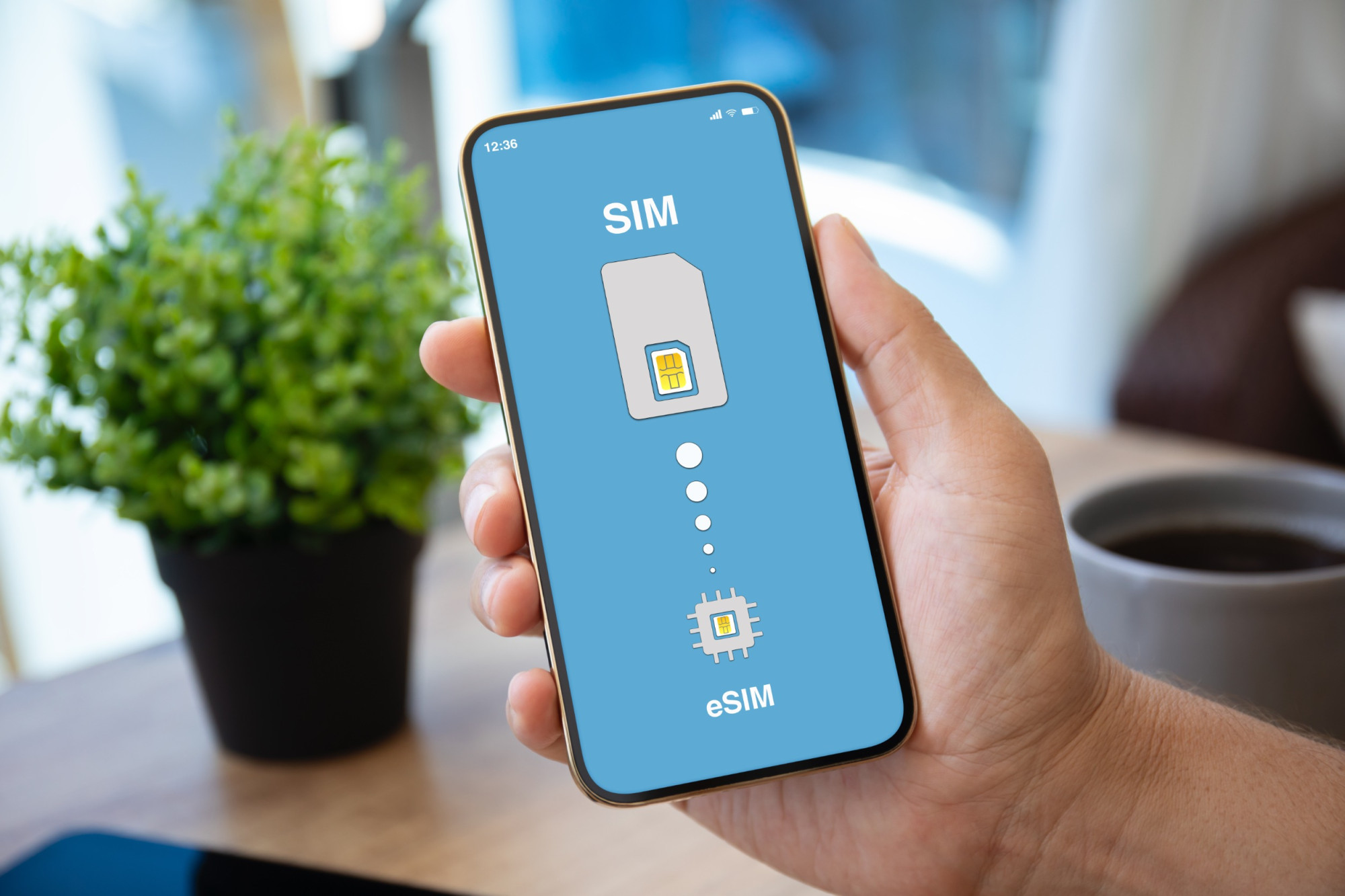 Che differenza c'è tra una eSIM e una SIM? - Tom's Hardware