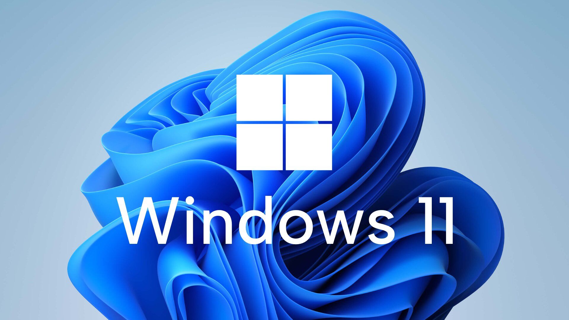 Su Windows 11 arrivano le GIF animate negli screenshot (era ora!) - Tom ...