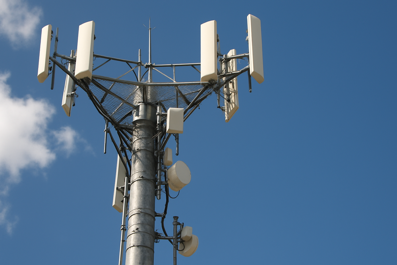 Android 16 sfida apertamente l'ICE statunitense - Tom's Hardware