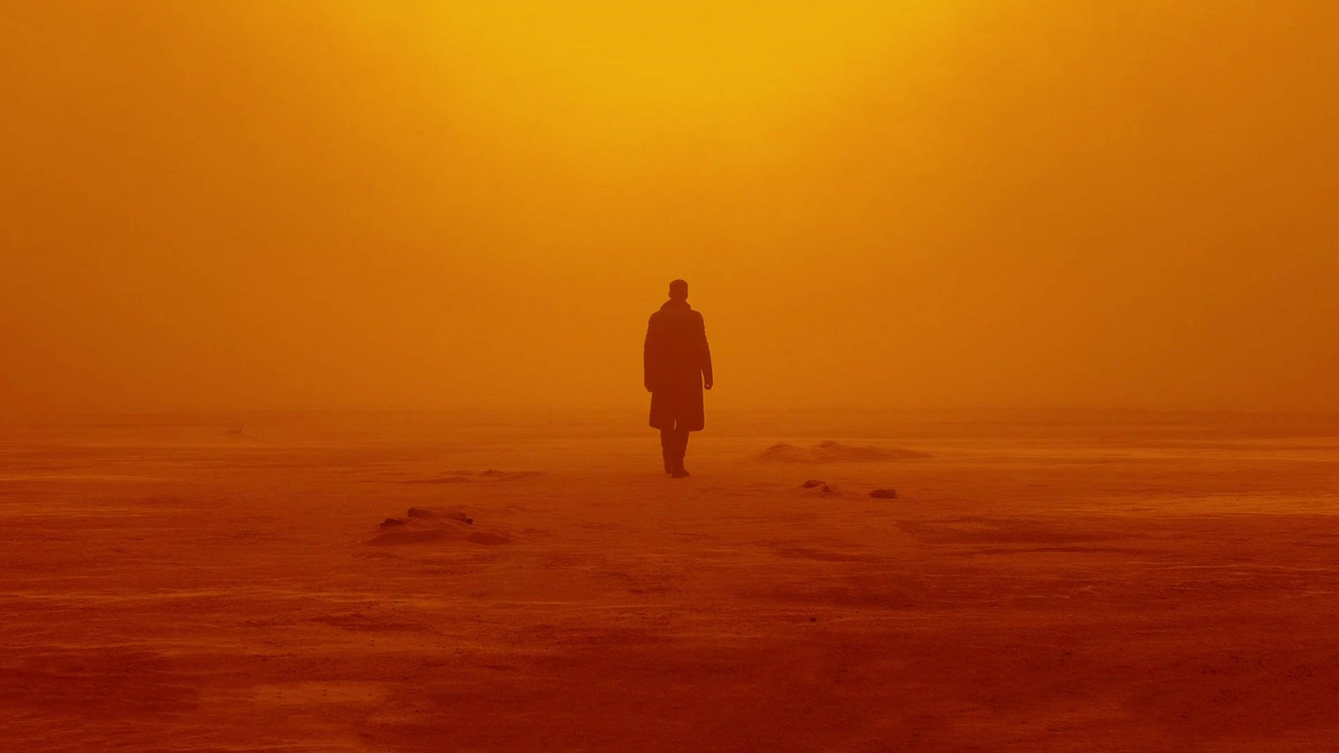 Blade Runner – Black Lotus, la saga sci-fi diverrà una serie animata ...
