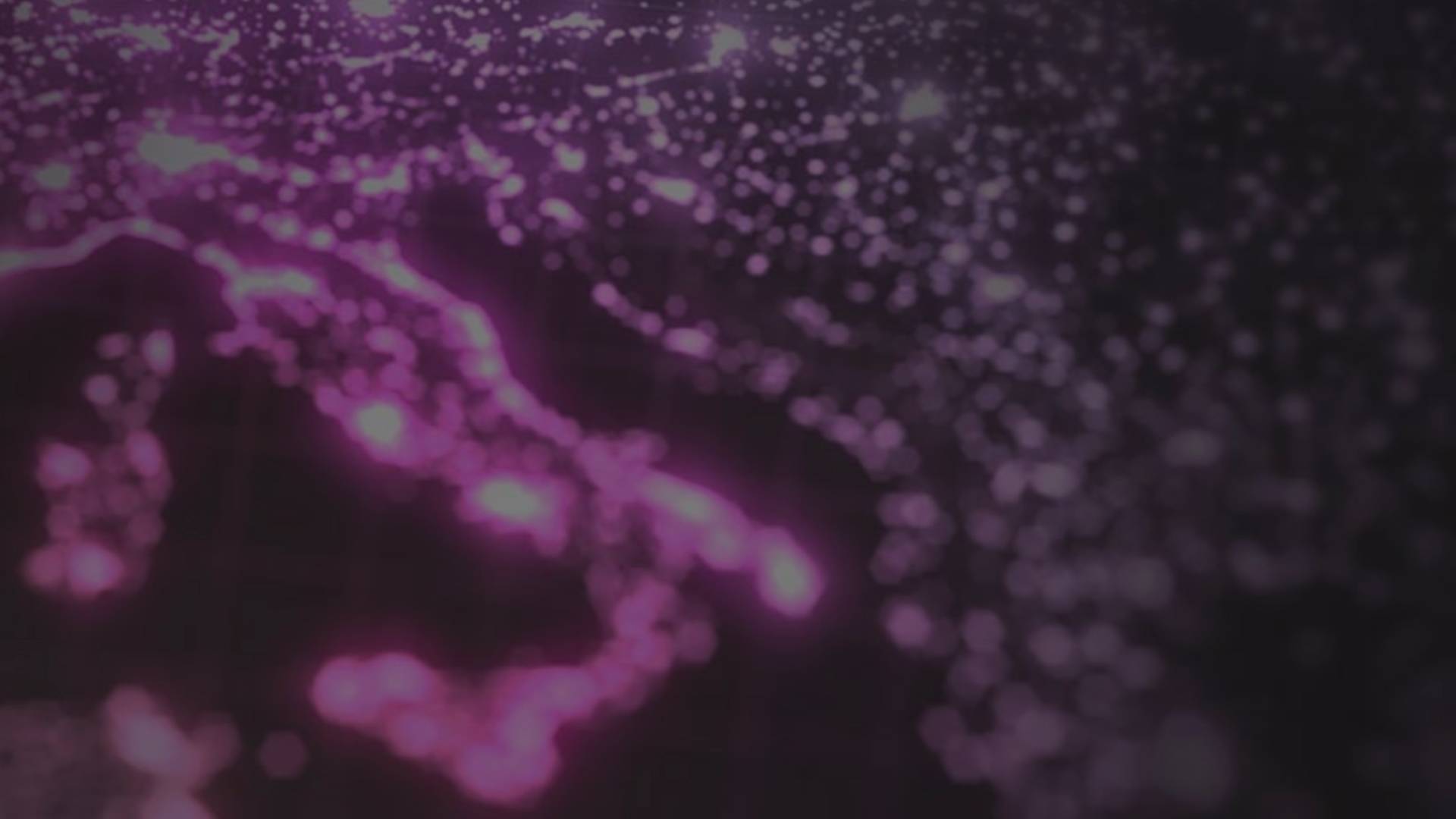 ZION, la dorsale di Open Fiber ha raggiunto i 600 Gbps grazie a ...