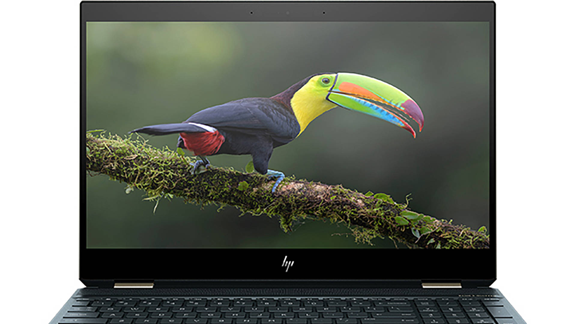 HP, nuovi Envy e Spectre con display AMOLED in arrivo ad aprile - Tom's ...