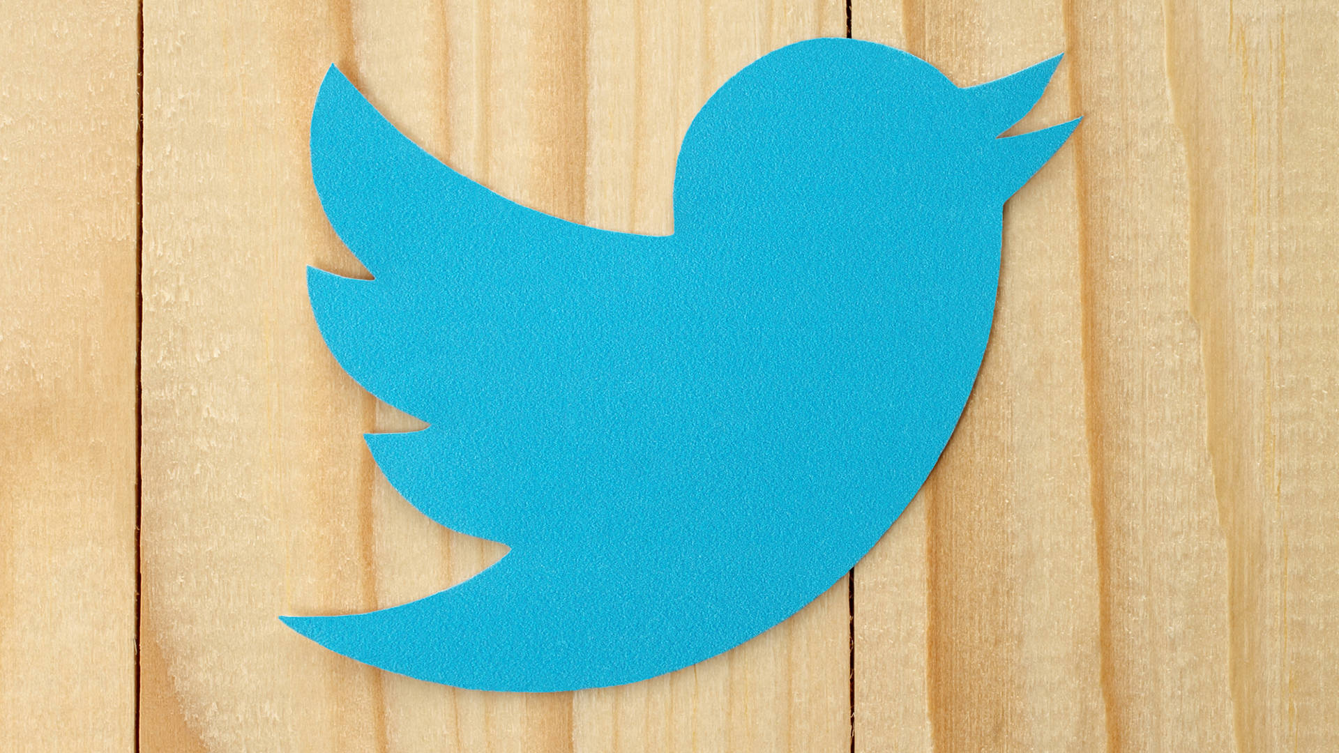 Trump contro Twitter, eliminazione di bot o censura anti repubblicana ...