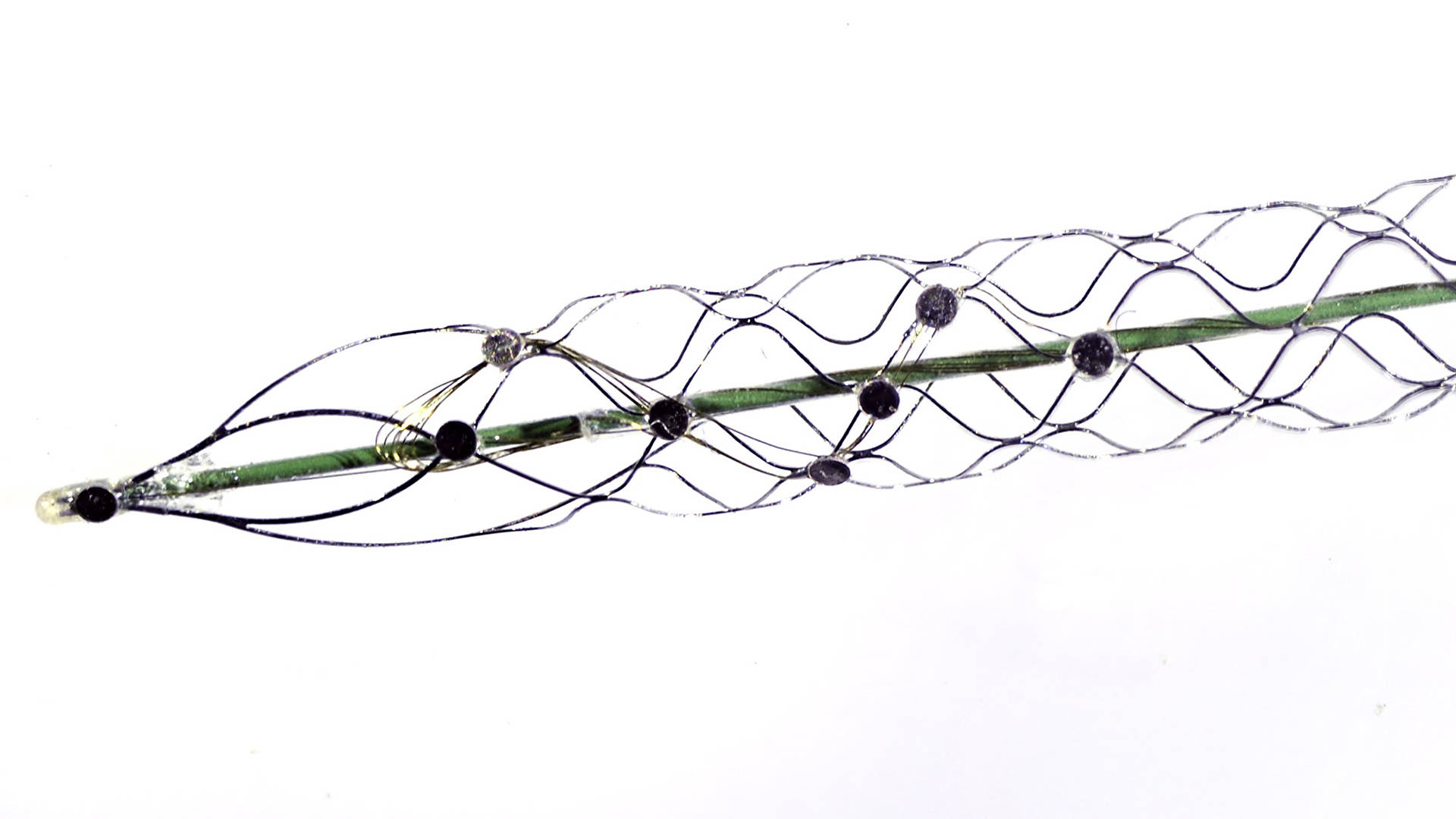 Stentrode, l'impianto neurale endovascolare che ridà la parola a chi è ...