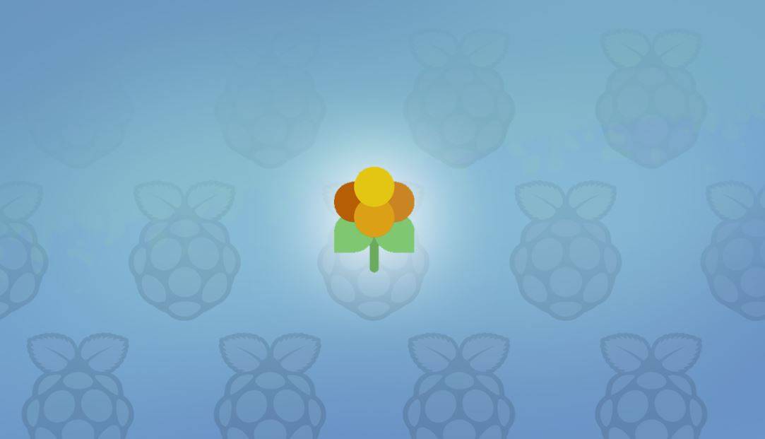 Raspberry Pi 4, arriva l'emulatore per i fan del retrogaming - Tom's ...