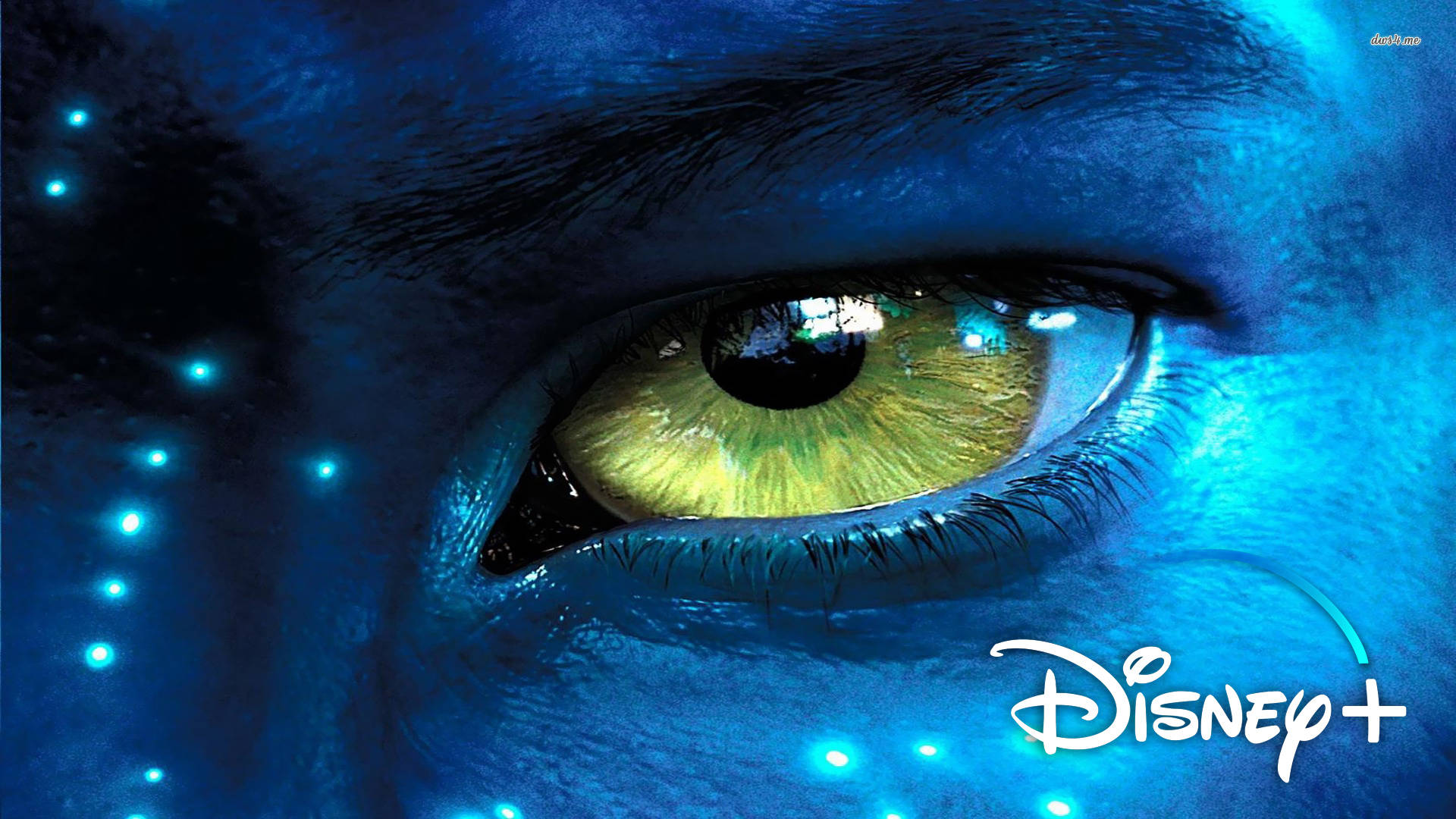 Disney+: aggiunto Avatar al lancio della piattaforma - Tom's Hardware
