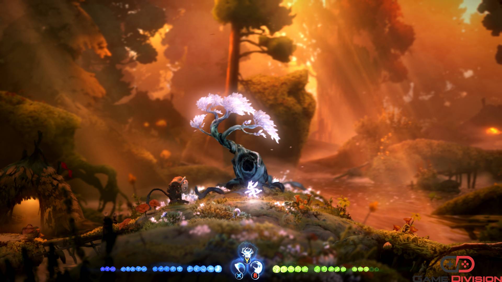 Ori and the Will of the Wisps | Sbloccare la Luce Ancestrale (50% danni ...