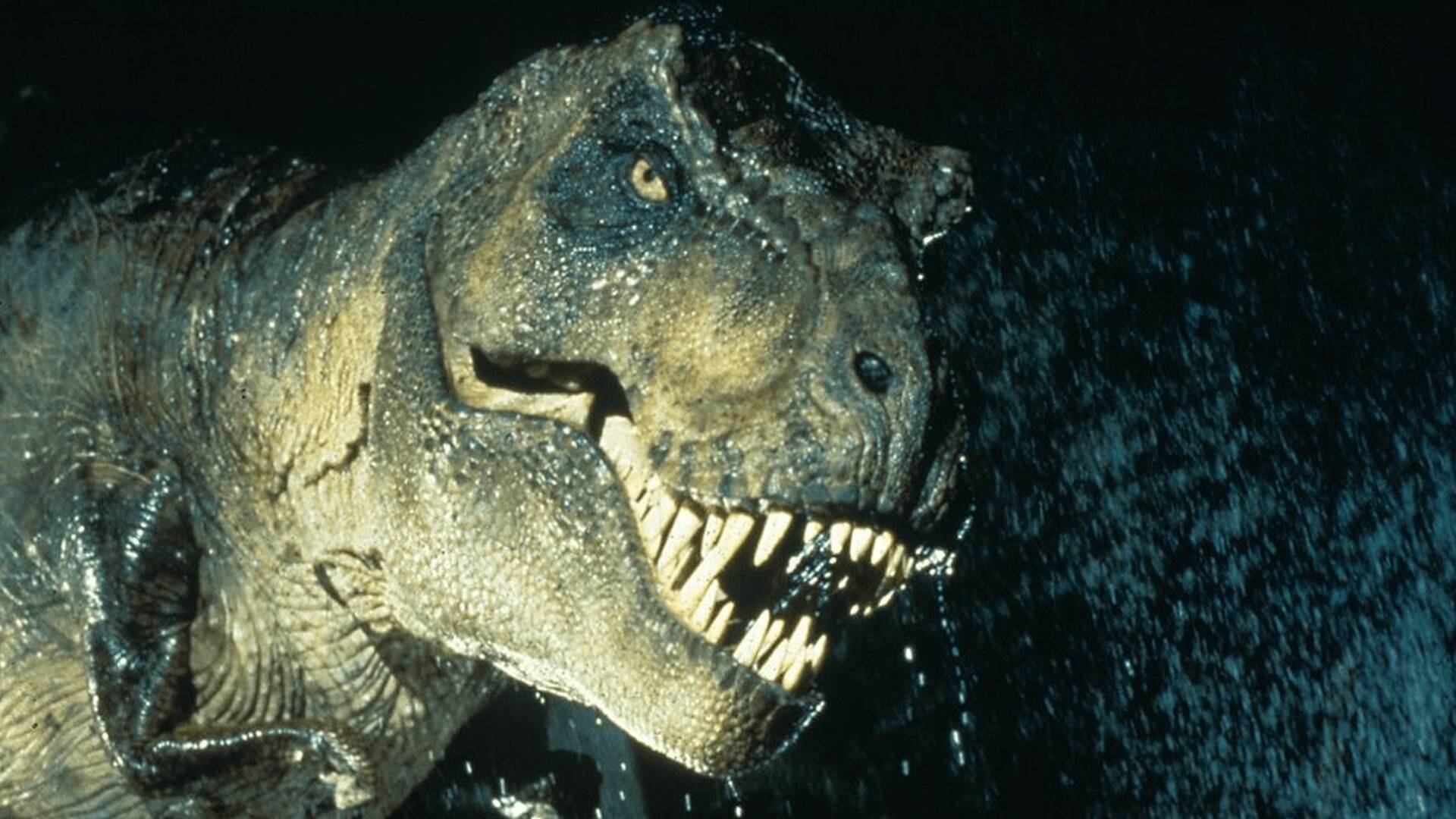 Dinosauri: ecco quanti T-Rex sono esistiti - Tom's Hardware