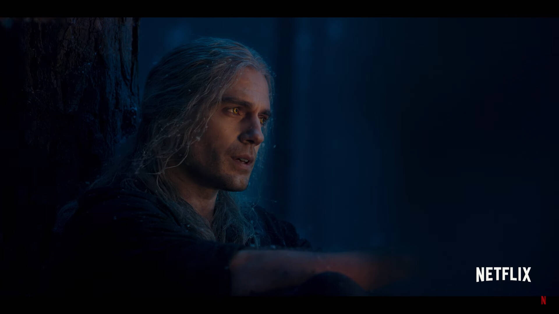 The Witcher 2 - nel trailer italiano l'addestramento di Geralt a Kaer ...