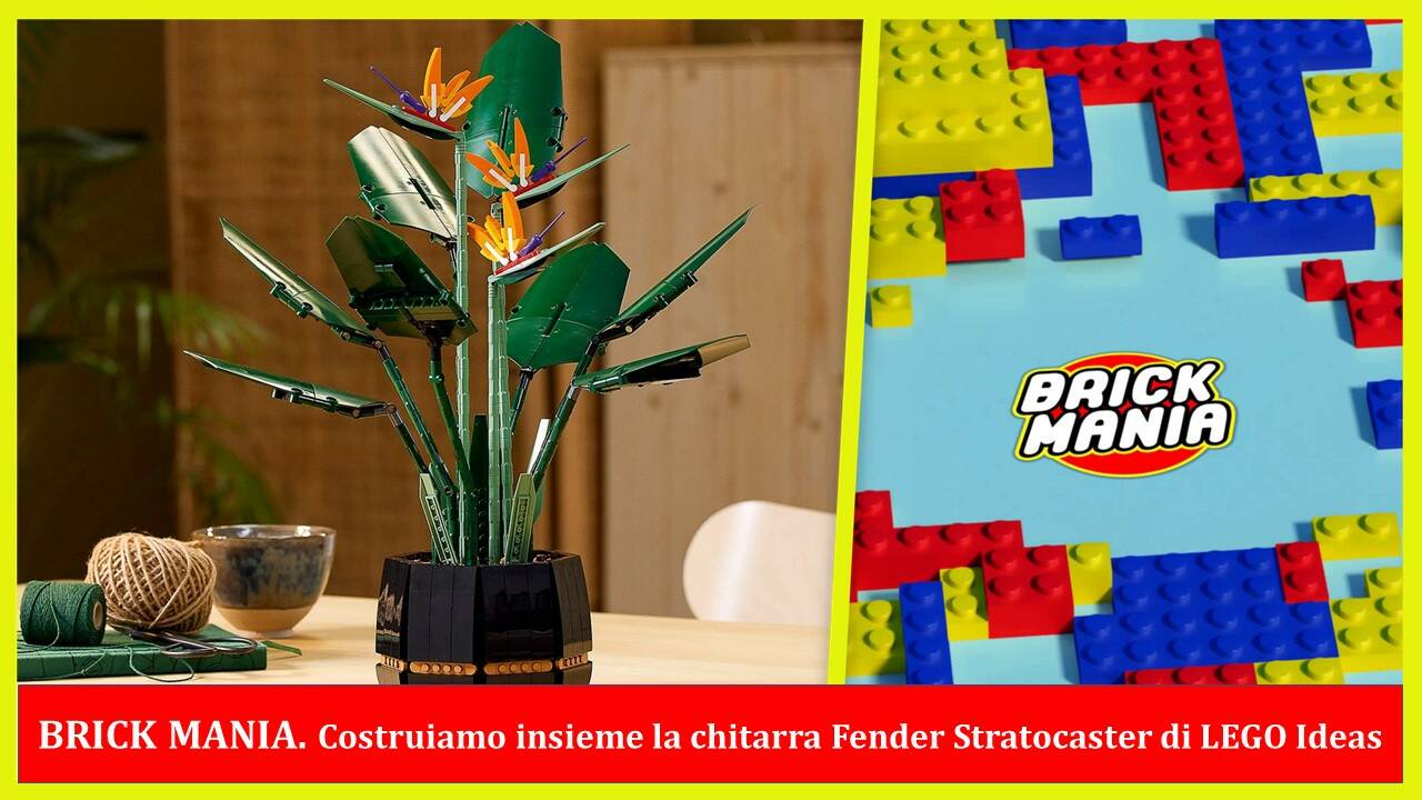 BRICK MANIA. Costruiamo insieme il nuovo set Uccello del Paradiso - Tom ...