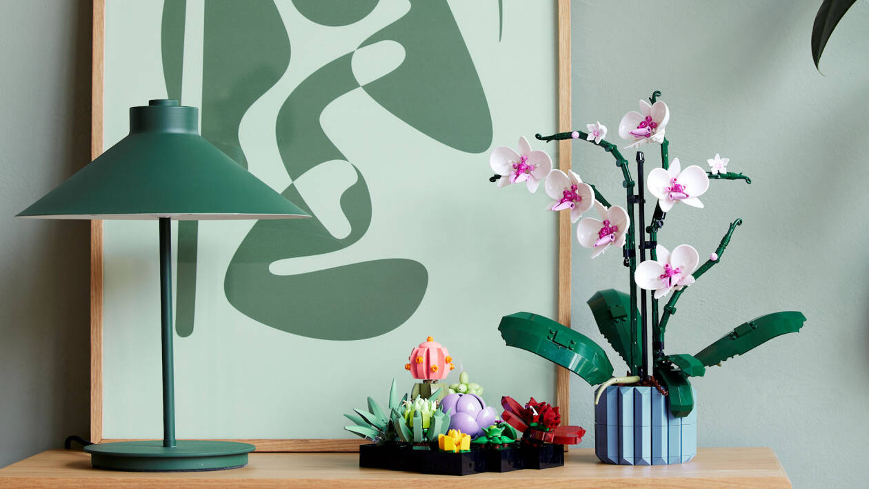 Due nuovi set Botanical si aggiungono al vivaio LEGO! - Tom's Hardware