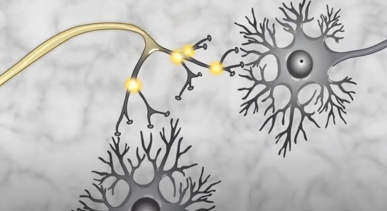 Interfacce Cervello-Computer, cosa possono e non possono fare? - Tom's ...