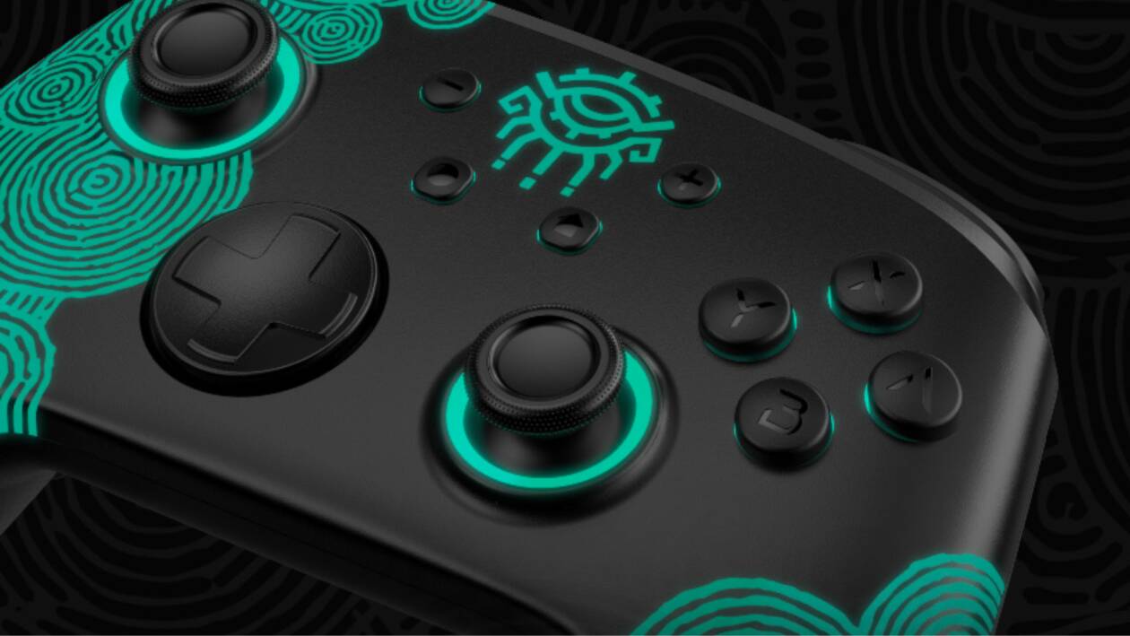 Non hai mai visto un controller Switch più bello di questo! - Tom's ...